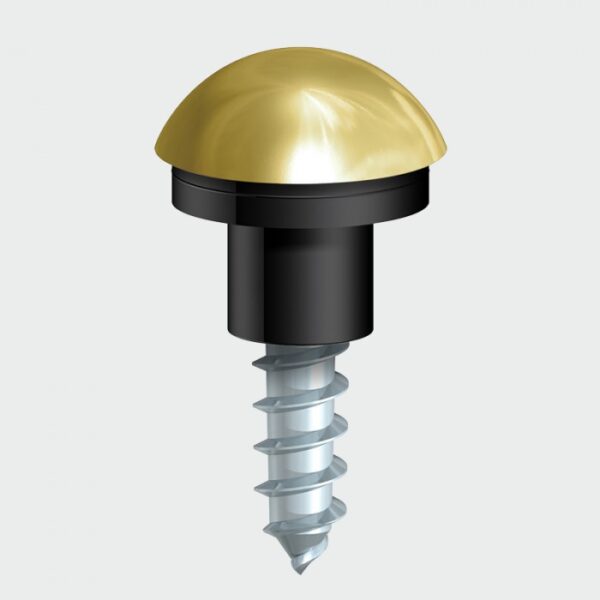 Mirror Screw PZ2 Dome - Brass • Discount Trade Supplies - DTS